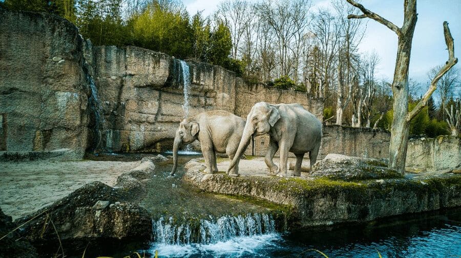 The largest Zoos in Europe | ranking.global